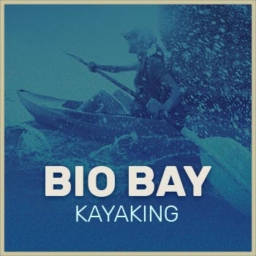 Bioluminescent Kayaking Puerto Rico Tour | Fajardo's Bio Bay