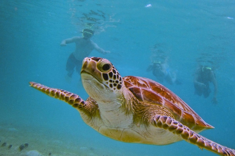 The Best Culebra Snorkeling Tour for Unforgettable Underwater