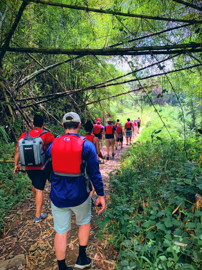 Visit El Yunque National Forest | Forest tour | Kayaking Puerto Rico